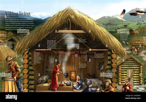 Infographics About The Daily Life Of The Viking In A Village And Its