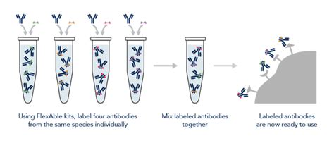 Multiplexing Proteintech Group