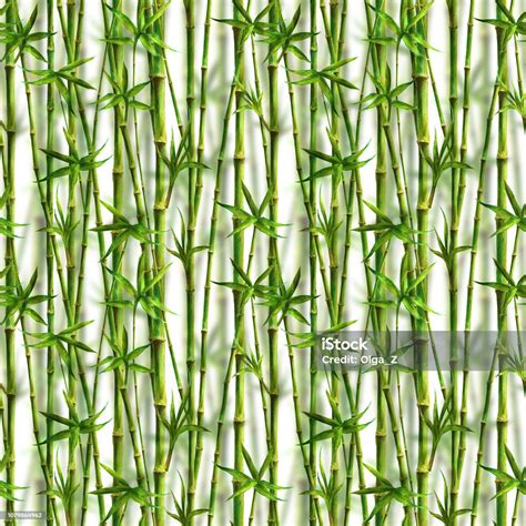 대나무 수채화 줄기와 흰색 바탕에 완벽 한 패턴을 나뭇잎 대나무 벼과에 대한 스톡 벡터 아트 및 기타 이미지 대나무 벼과 건강한 생활방식 나무 Istock