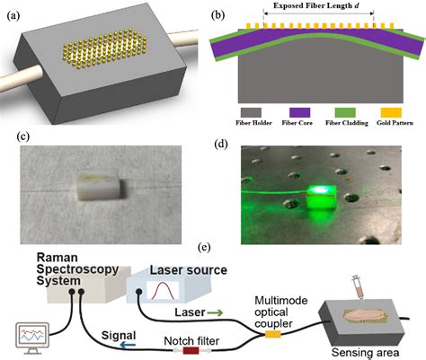 Figure 1 From A Fiber Optics Based Surface Enhanced Raman Spectroscopy Sensor For Chemical And