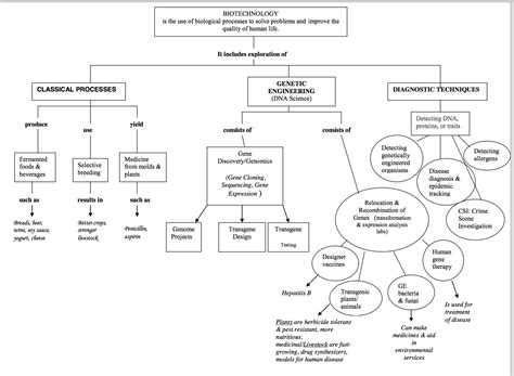 Chapter 13 Genetic Engineering Concept Map Answer Key United States Map