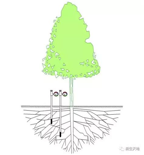 使用節水灌溉系統怎樣通過監測土壤墒情指導灌溉 每日頭條