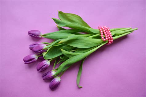 3 월 8 일 생일을 위한 고립 된 분홍색 배경 축제 꽃다발에 튤립 베이비 샤워 어머니의 날 여성의 날 꽃으로 구성 된 조성 물 축제 장식 색종이 결혼식에 대한 스톡 사진