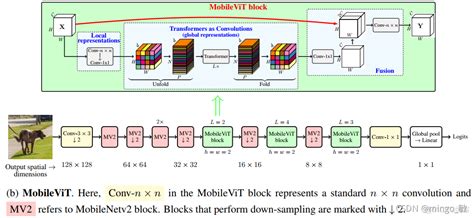 深度学习论文 Mobilevit Light Weight General Purpose And Mobile Friendly