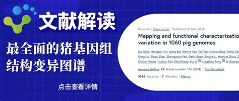 文献解读｜最全面的猪基因组结构变异图谱 知乎