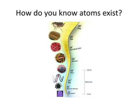 Ppt Atoms Powerpoint Presentation Free Download Id2479099