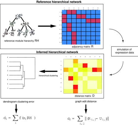 Simulated Gene Expression Data Are Generated From A Network With A