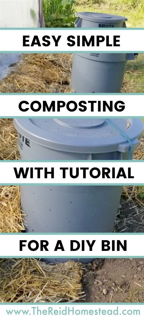 Simple Easy No Work DIY Composting Step By Step Instructions How To Start Composting