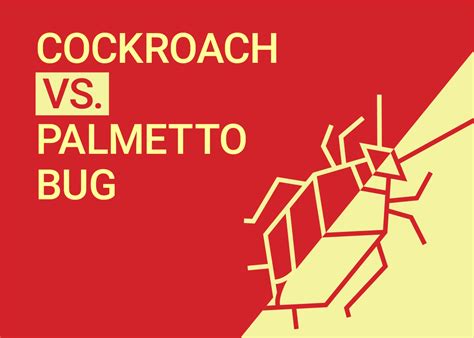 The Difference Between A Cockroach And A Palmetto Bug Dodson Pest Control