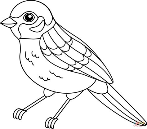 Sparrow Coloring Page Free Printable Coloring Pages