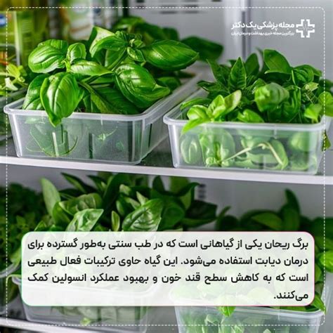 چطور دیابت را با رژیم غذایی مناسب مدیریت کنیم؟ مجله پزشکی یک دکتر