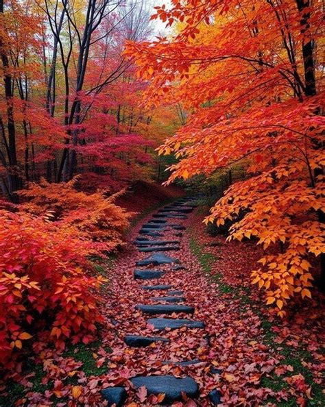 Pin By Suzy Brooks On Autumn Scenery Autumn Landscape Autumn Scenery