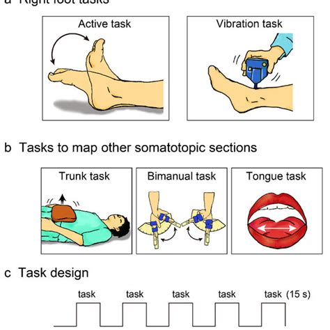Fmri Tasks And Task Design A Right Foot Tasks Active Left And