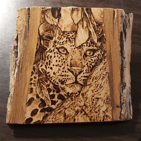 Leopard Black Cat Pyrography Pyrography 2024 R Art