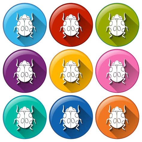 Imágenes De Color Ladybug Vectores Fotos De Stock Y Psd Gratuitos