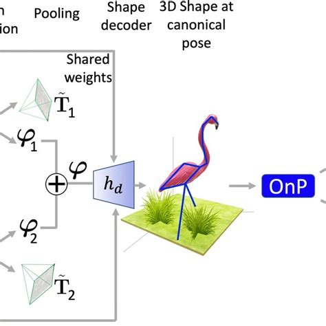 Architecture Showing Autoencoder Based Mv Nrsfm Approach The 2d Inputs