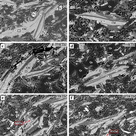 Sem Bse Photomicrographs Of The Precambrian Phyllitic Slate With