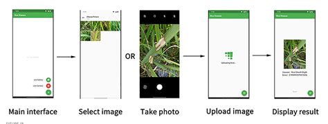 Figure 11 From Convolutional Neural Network In Rice Disease Recognition