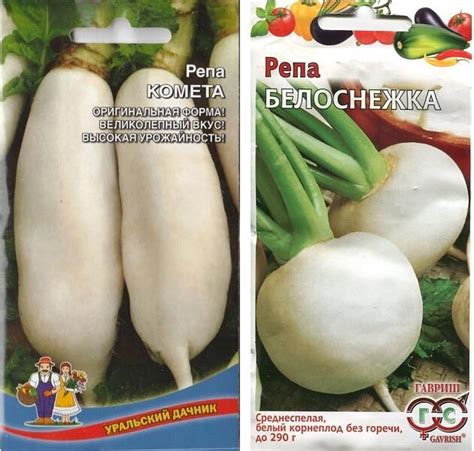 Репа: лучшие сорта и выращивание | Антонов сад - дача и огород | Дзен