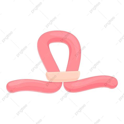 피임의 날 Png 일러스트 Psd 및 클립 아트에 대한 무료 다운로드 Pngtree