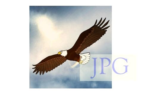 Eagle Flying Printable Bird On The Sky Graphic By Studio Jay Creative Fabrica