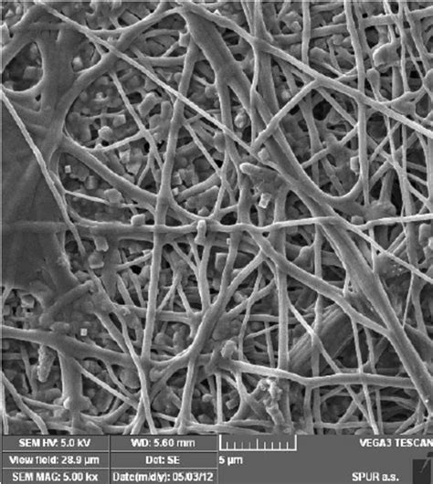 Planar Nanostructure Of Sample 2 Magnification 5 000 × Download Scientific Diagram