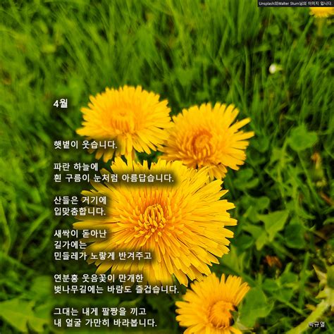 삼백 박규열 어디까지 겨울이고 언제부터 봄이련가 그만 추워도 될 것 같은데 봄을 시샘 하는 겨울이 그냥 가지 않네요 이 망할 놈의 겨울아 퍼뜩 가거라