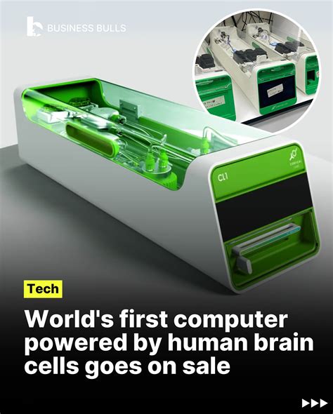 Business Bulls Cortical Labs Has Just Unveiled The Cl1 The Worlds First Commercial