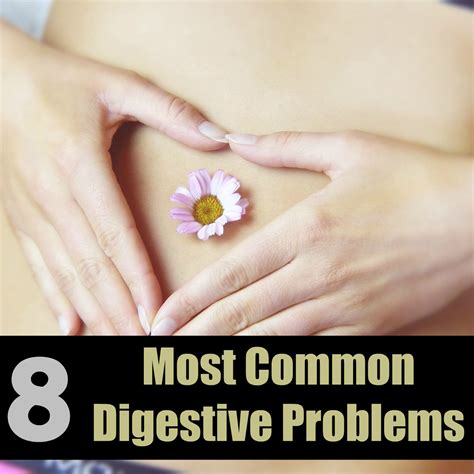 Eight Most Common Digestive Problems ⋆ The Stuff Of Success