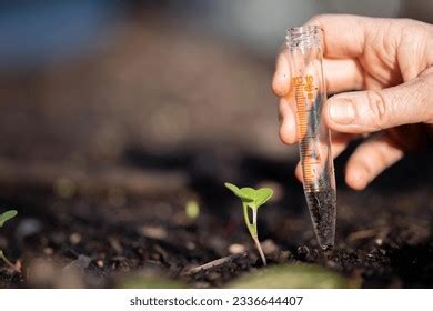 Nutrient Test Soil Images Stock Photos D Objects Vectors Shutterstock