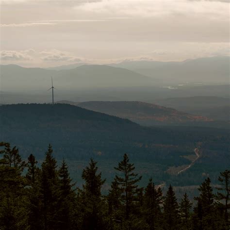 Weyerhaeuser Americas Most Prolific Logger Recasts Itself As Environmental Do Gooder Wsj