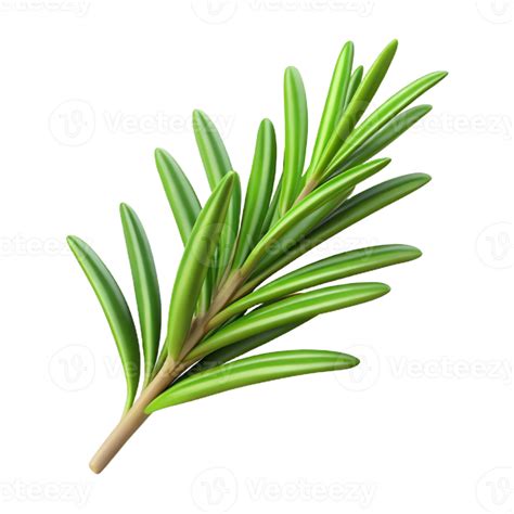 Mesmerizing Signature Isolated Cutout Photorealistic Ultra Detailed