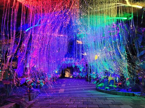 광명동굴 웜홀광장빛의터널 경관조명 조성 광명동굴 웜홀광장 빛의터널 아바타 광섬유 Uv조명 토피어리 2022년