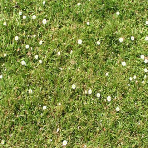 Second Life Marketplace Grass Small Flower Texture