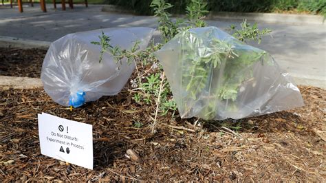 Educator Guide Transpiration Demo Nasajpl Edu
