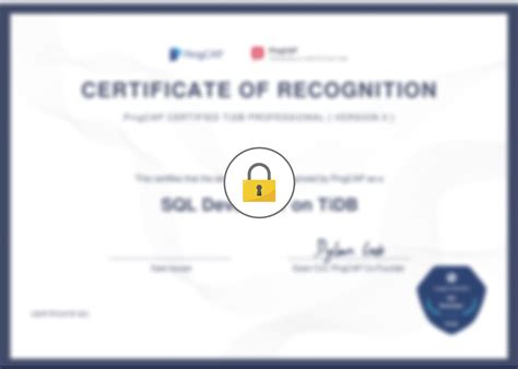 Pcsd Professional Level For Developers Tidb Certification Exam