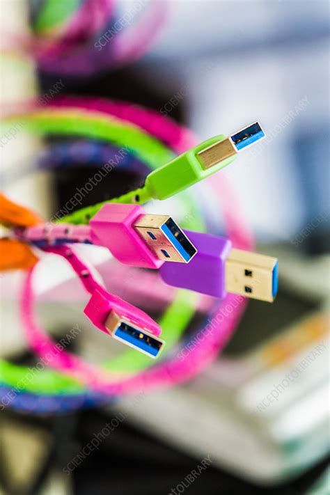Usb Connectors Stock Image C Science Photo Library