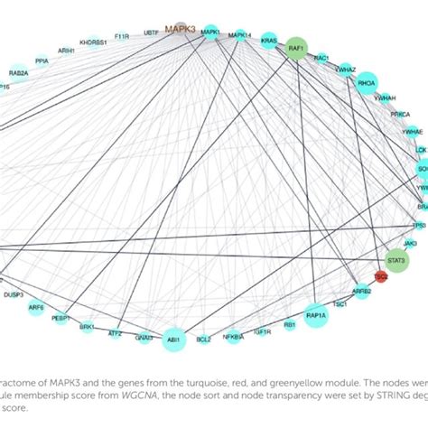 Gene Functional Enrichment Of The A Wgcna Module Red B Wgcna