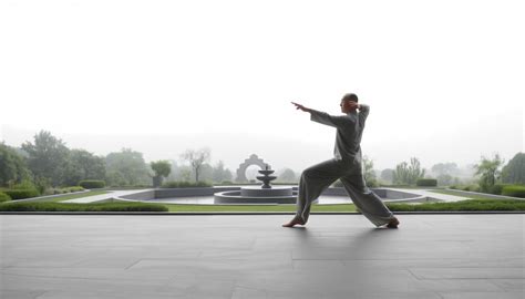 Tai Chi Para Iniciantes Como Começar Guia Completo Sintonia