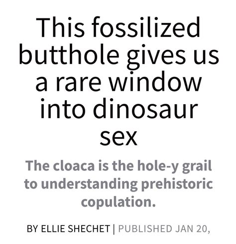This Fossilized Butthole Gives Us A Rare Window Into Dinosaur Sex R
