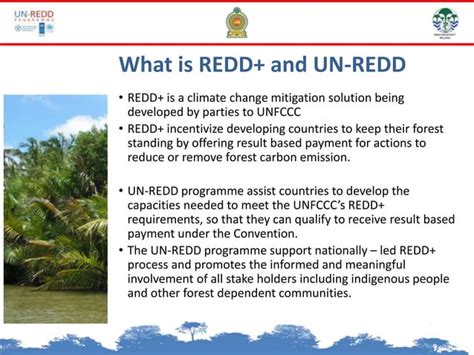 Reducing Emission From Deforestation And Forest Degradation Redd Ppt