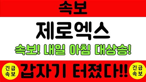 제로엑스 ★긴급★제로엑스제로엑스코인전망제로엑스코인 Youtube