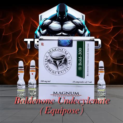 Magnum Bold 300 Injektoitavat Steroidilääkkeet