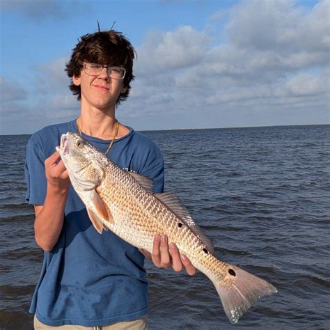 Sean Oconnor Sean Oc123556 Snapchat Stories Spotlight And Lenses