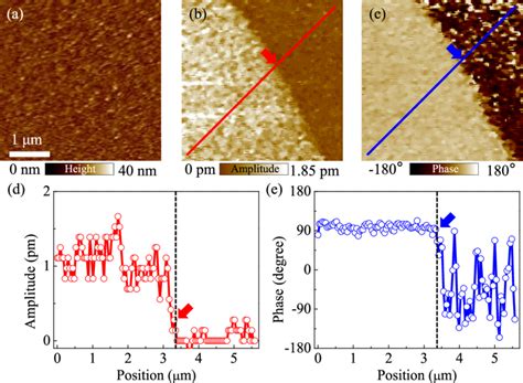 Mapping Magnetostrictive Responses On A Cobalt Thin Film A Download Scientific Diagram