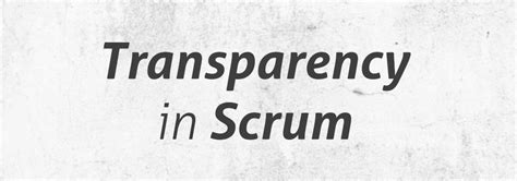 Transparency In Scrum Vineet Patni