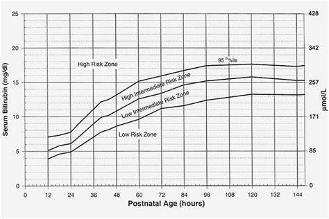 Elevated Bilirubin Levels In Asymptomatic Adults