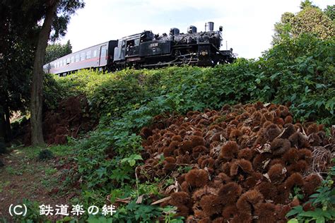 蒸機感写で鉄道楽 稔り多きSL感動体験列車