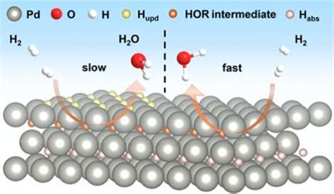 表面氢和晶格氢在电催化氢氧化中的作用的新见解 Acs Catalysis X Mol