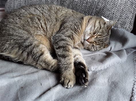 My Beautiful Chubby Girl Is Turning 14 Today She Means Everything To Me R Aww